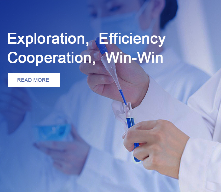 Amoxicillin, Paracetamol, Preparation export, Solid preparation ...